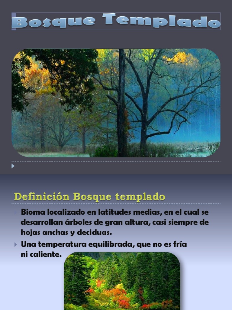 #5 (Bosque Templado) | PDF | Los bosques | Arboles