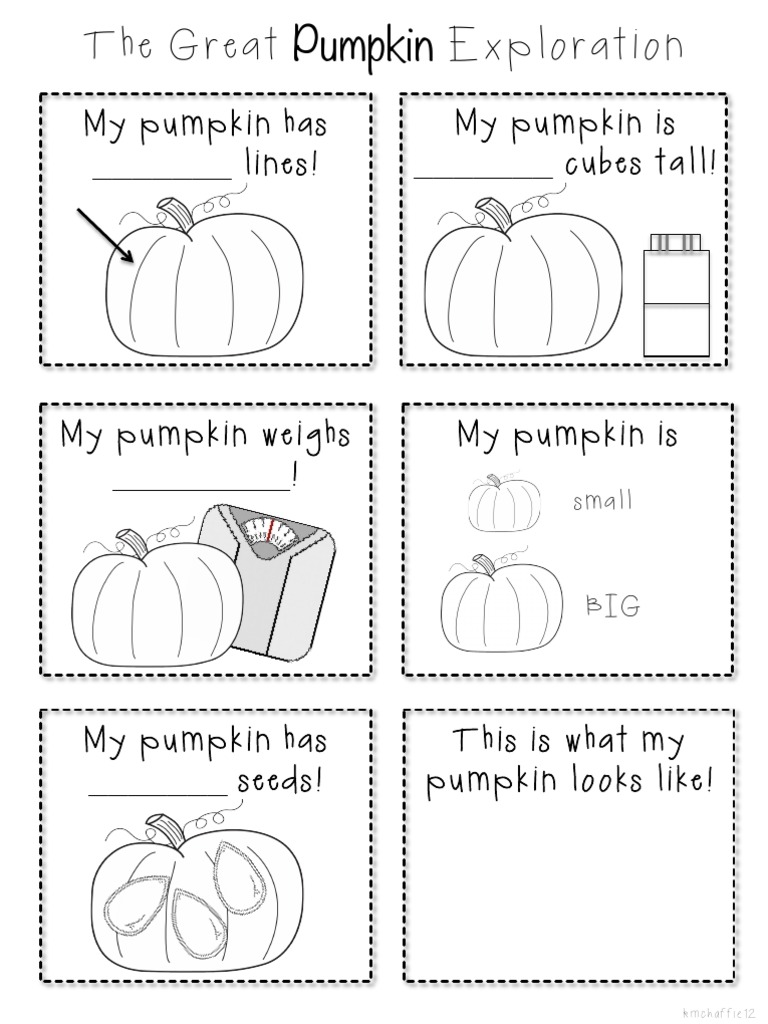 Pumpkin Exploration | PDF | Fruit Vegetables | Halloween