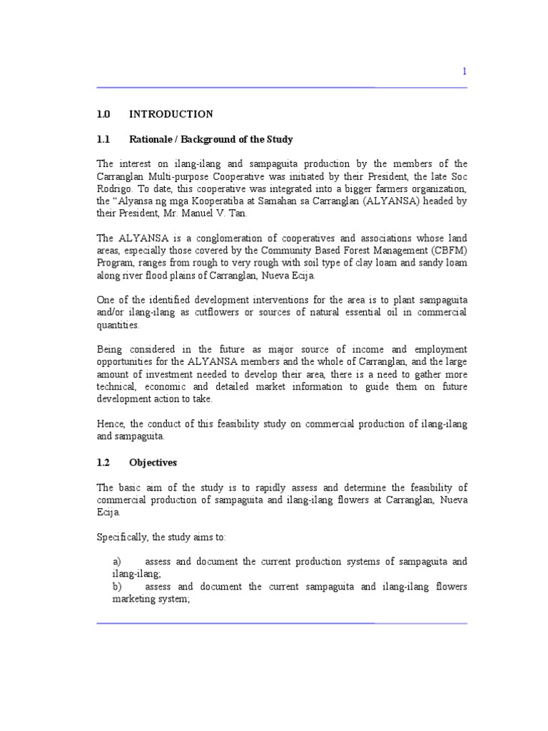 Fs Main Report | PDF | Feasibility Study | Economies