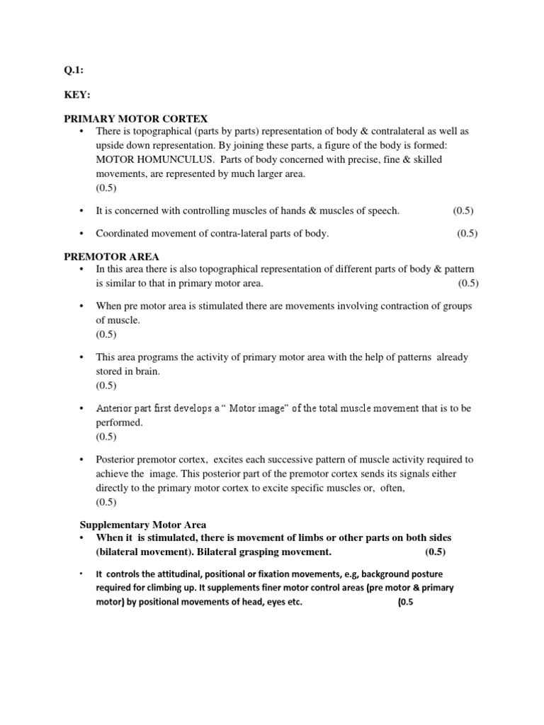 2nd Year Key of SEQs 17-10-12 | PDF | Human Anatomy | Animal Anatomy