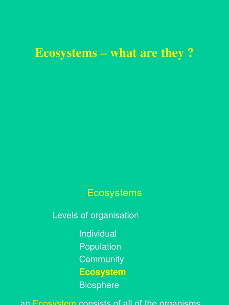 Understanding Ecosystems and Their Functions | PDF | Primary Production ...