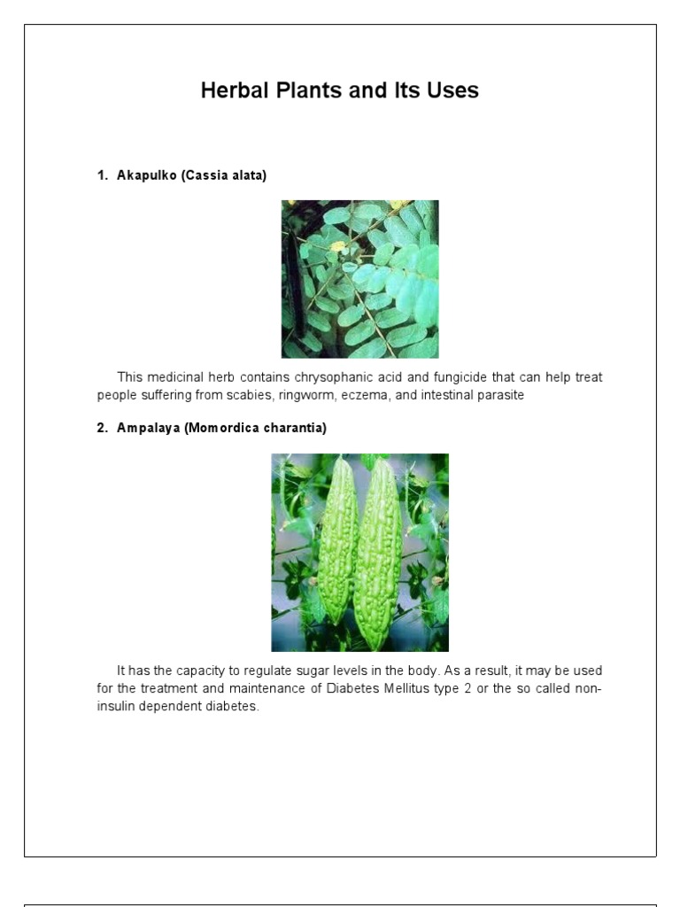 herbal-plants-and-its-uses-1-akapulko-cassia-alata-pdf