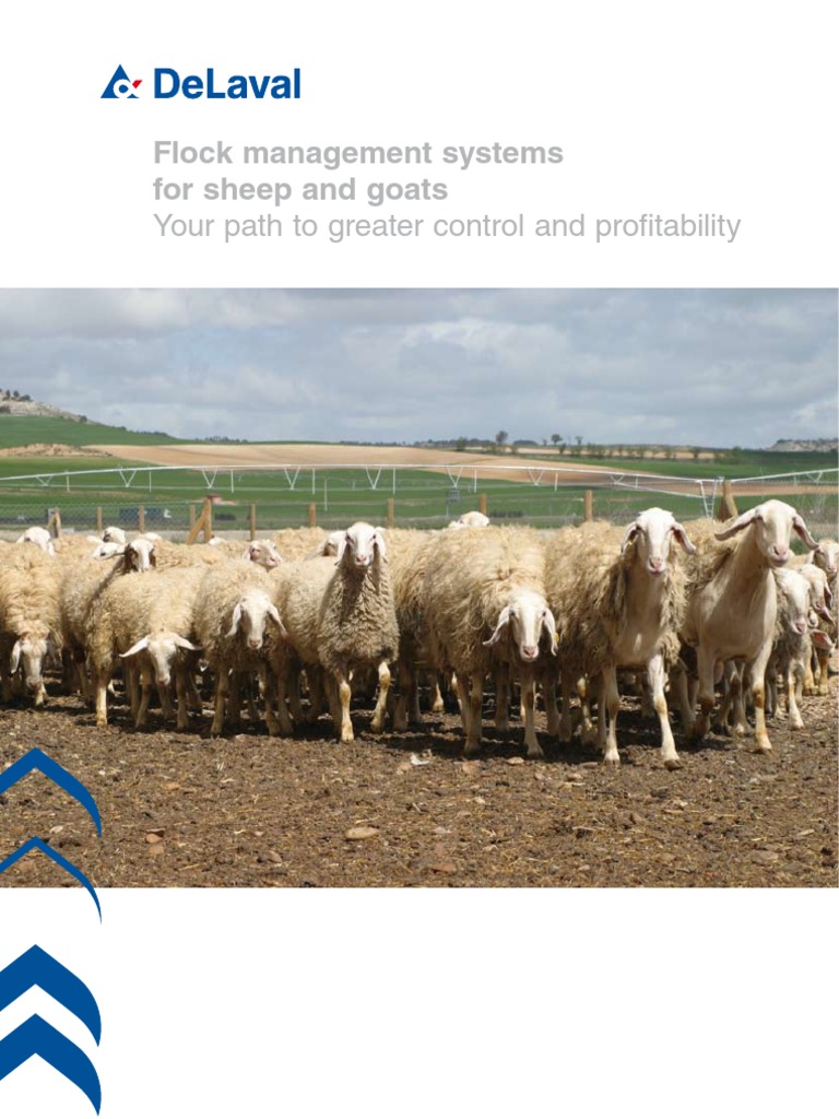 Flock Management Systems | PDF | Goat | Dairy