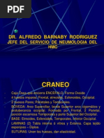 Anatomía de la región superciliar | PDF | Anatomía humana | Cabeza y ...