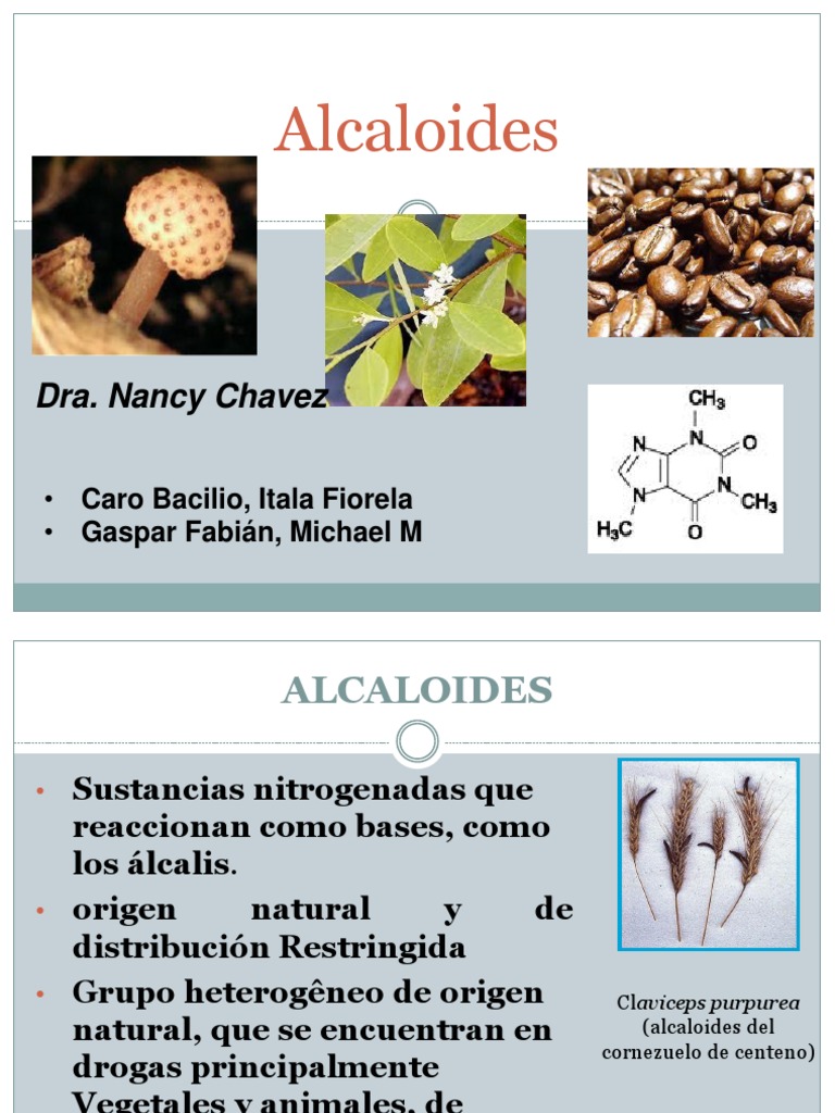 ALCALOIDES Farmacognosia | PDF | Alcaloide | Farmacología