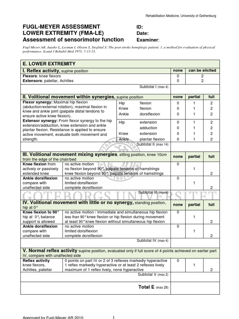 Fugl Meyer Extr Inferior | Anatomical Terms Of Motion | Human Leg