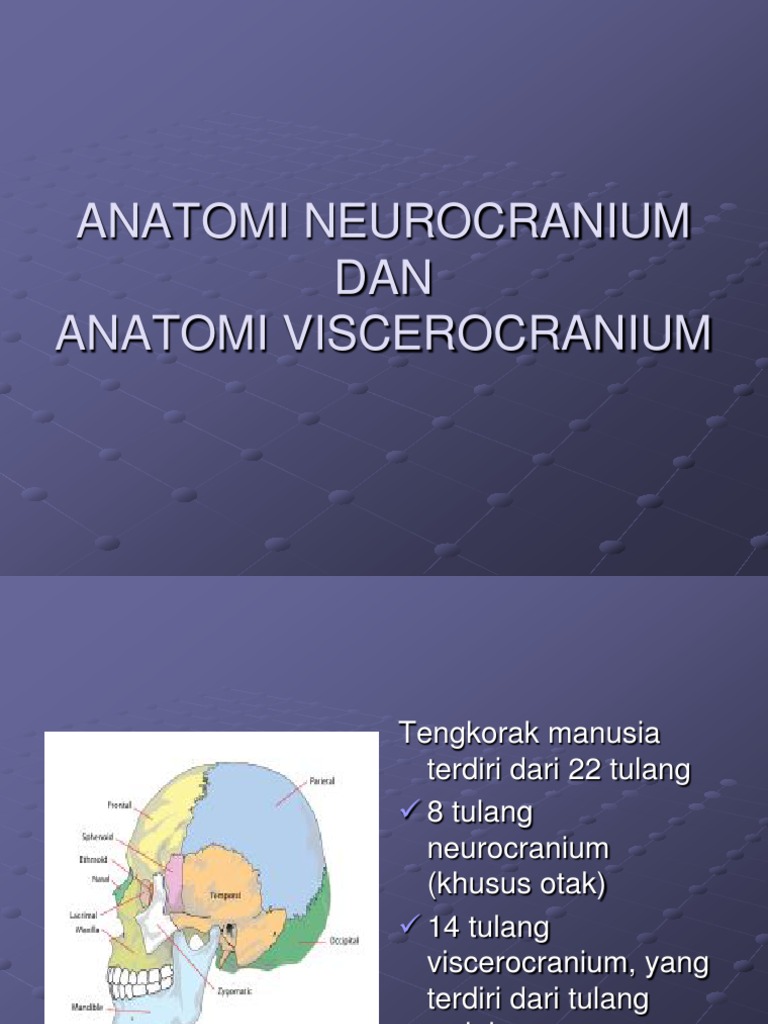 Anatomi Neurocranium | PDF | Sains & Matematika