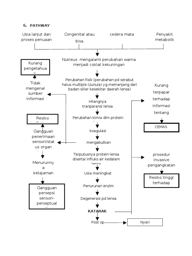Pathway Katarak | PDF