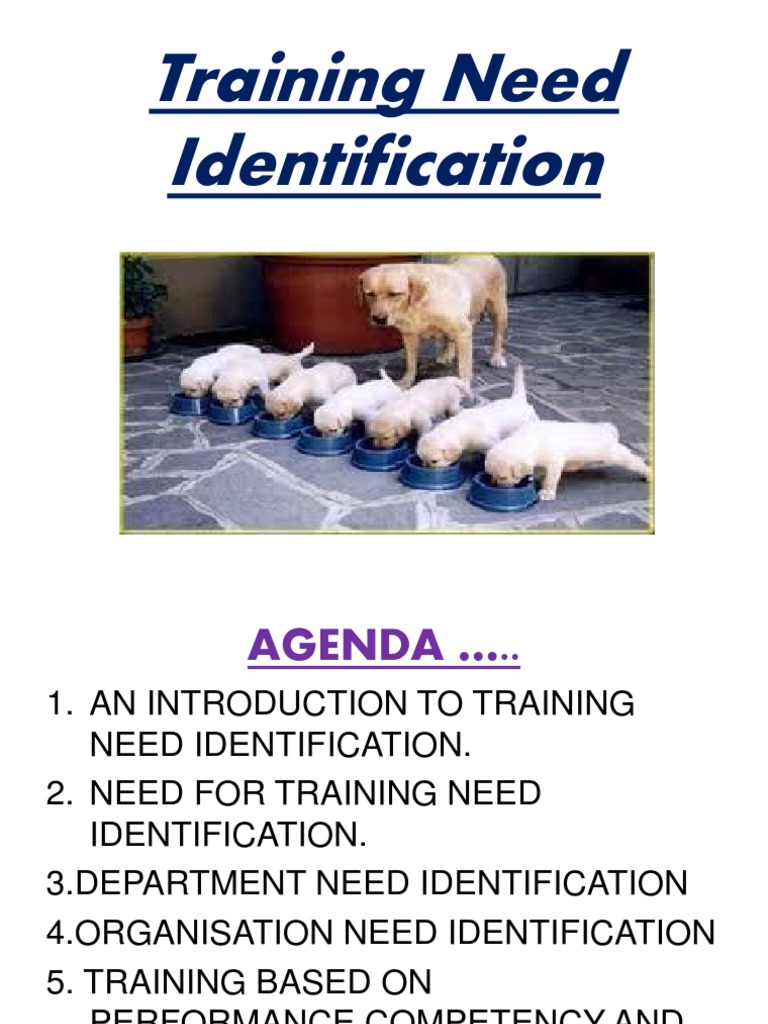 Training Need Identification | Download Free PDF | Competence (Human ...