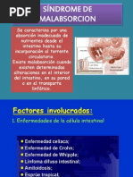 Clasificación de Bockus | PDF | Abdomen | Inflamación