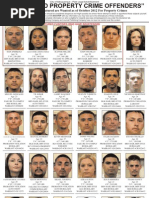 Suspect Description Form | PDF