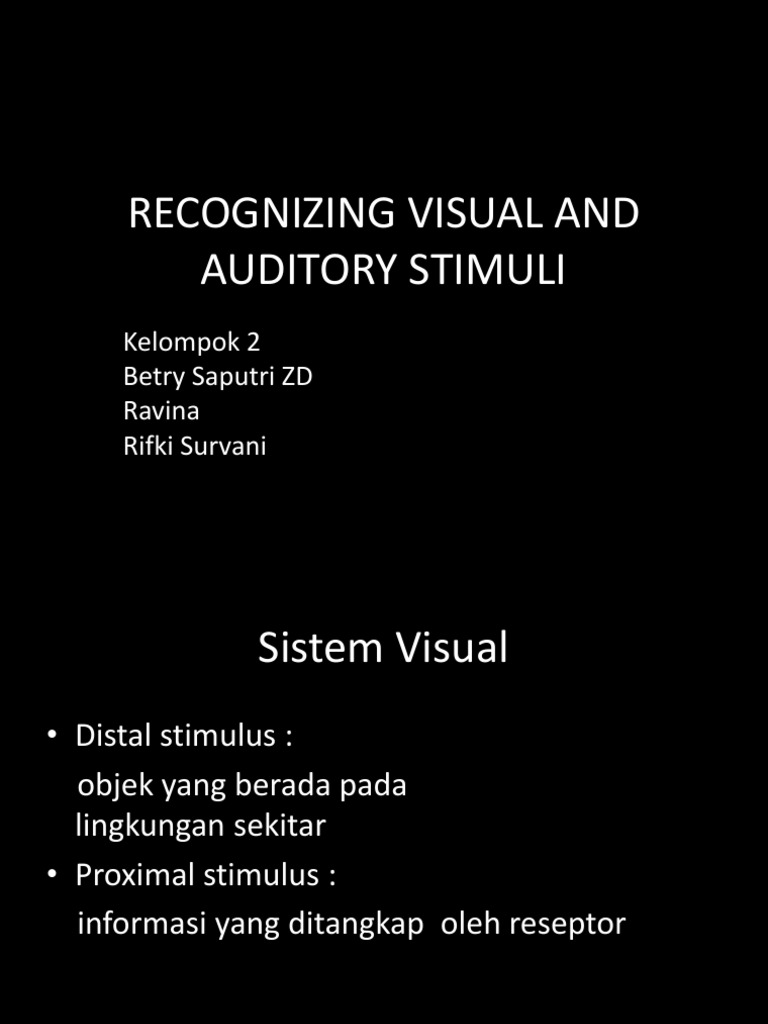 Visual Object Recognition Pdf