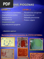 Características del exudado purulento | PDF | Infección | Medicina CLINICA
