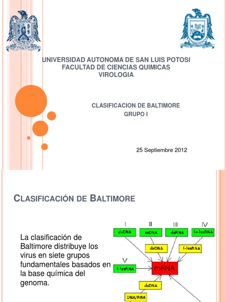 Clasificacion Baltimore Grupo i[1] | Adenovirus (Adenoviridae) | Virus