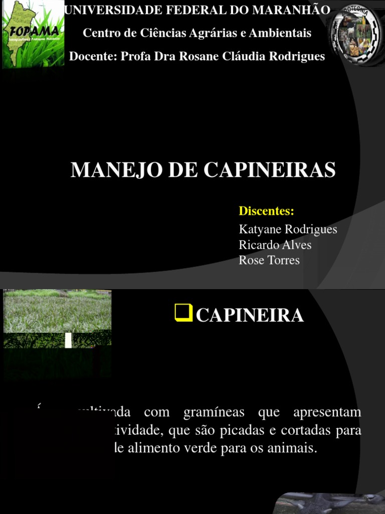 Manejo de Capineiras | PDF | Feno | Agronomia