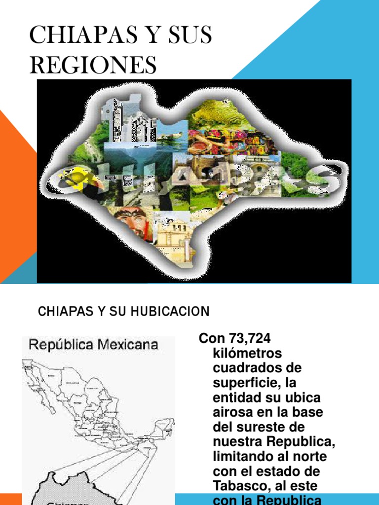 Chiapas y Sus Regiones | Chiapas | Bosque pluvial