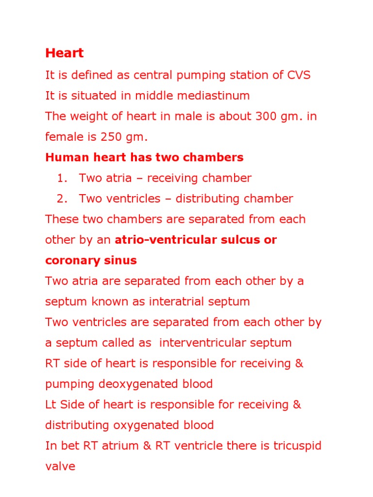 Heart | PDF | Atrium (Heart) | Heart Valve