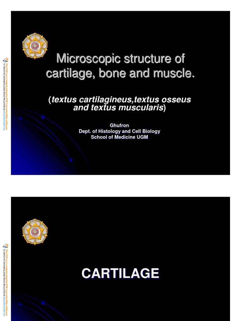 A Comprehensive Exploration of the Microscopic Structures of Cartilage ...