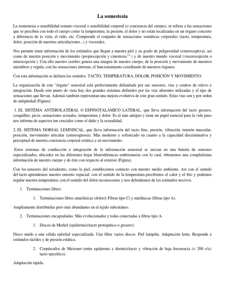 La Somestesia | PDF | Dolor | Tálamo