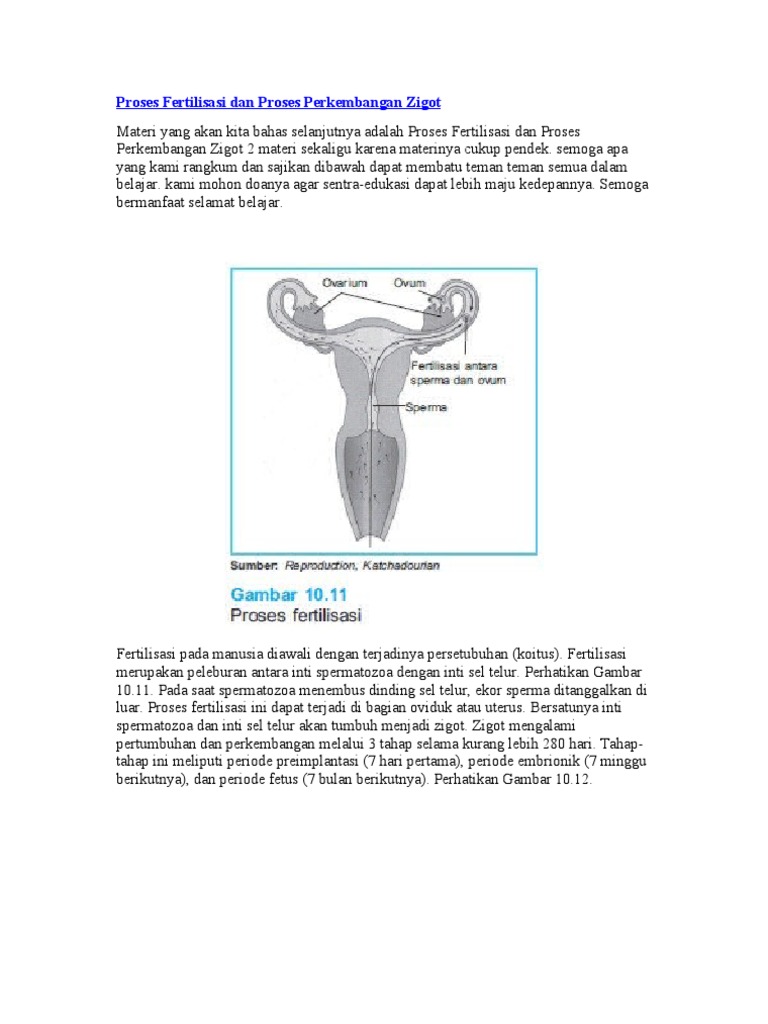 Proses Fertilisasi Dan Proses Perkembangan Zigot | PDF