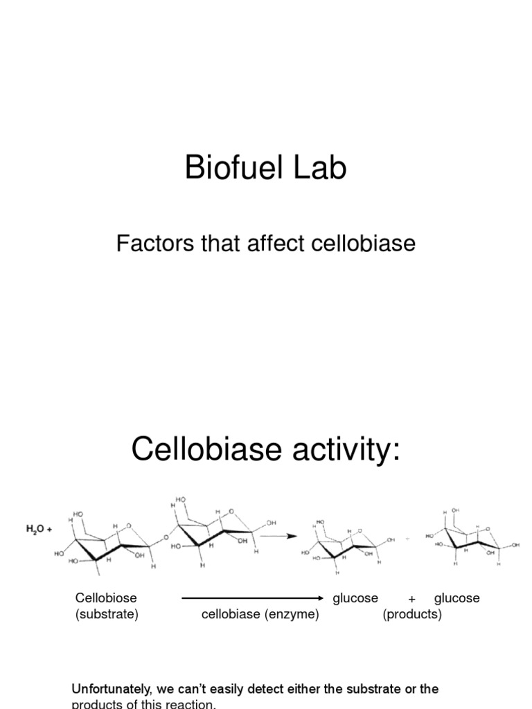 Biofuel Lab Cellobiase | PDF | Enzyme | Organic Compounds