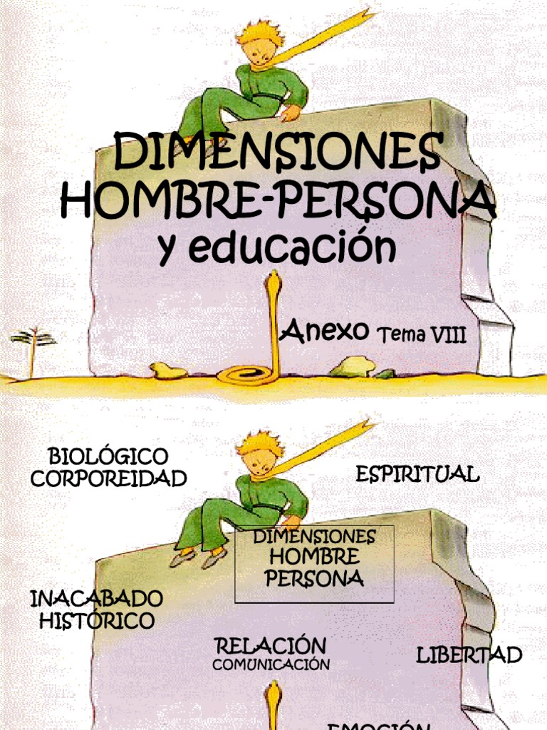 Dimensiones de la Persona en Educación | PDF