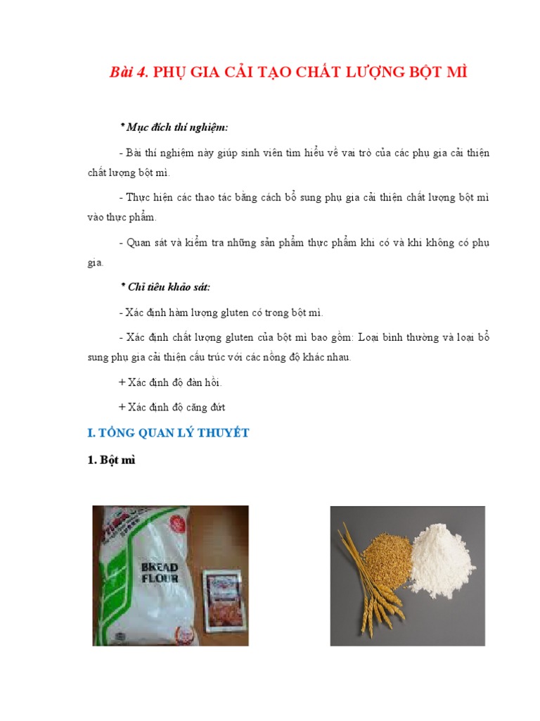 Bai 4 Phu Gia Cai Thien Cau Truc Bot Mi | PDF