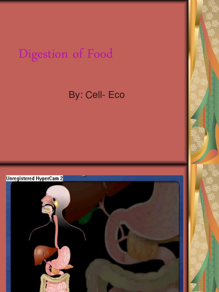 Digestion of Food | PDF | Digestion | Stomach