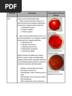 Gram Positive Cocci Flow Chart | PDF | Streptococcus | Prokaryote