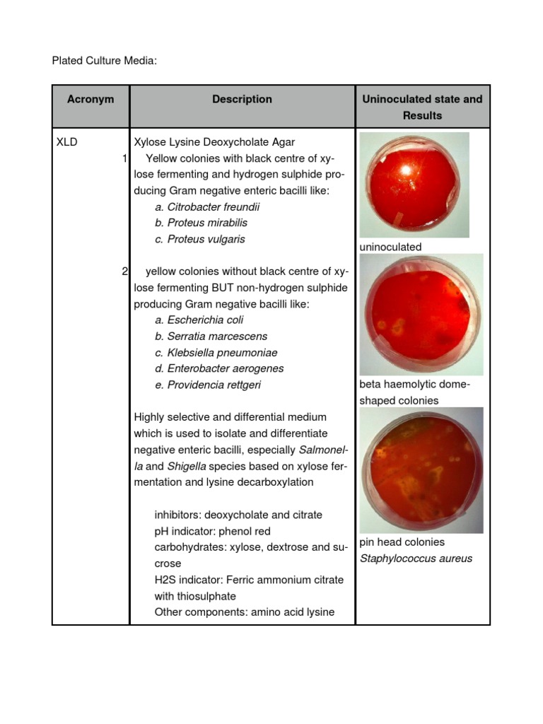 Culture Media | PDF | Growth Medium | Microbiology