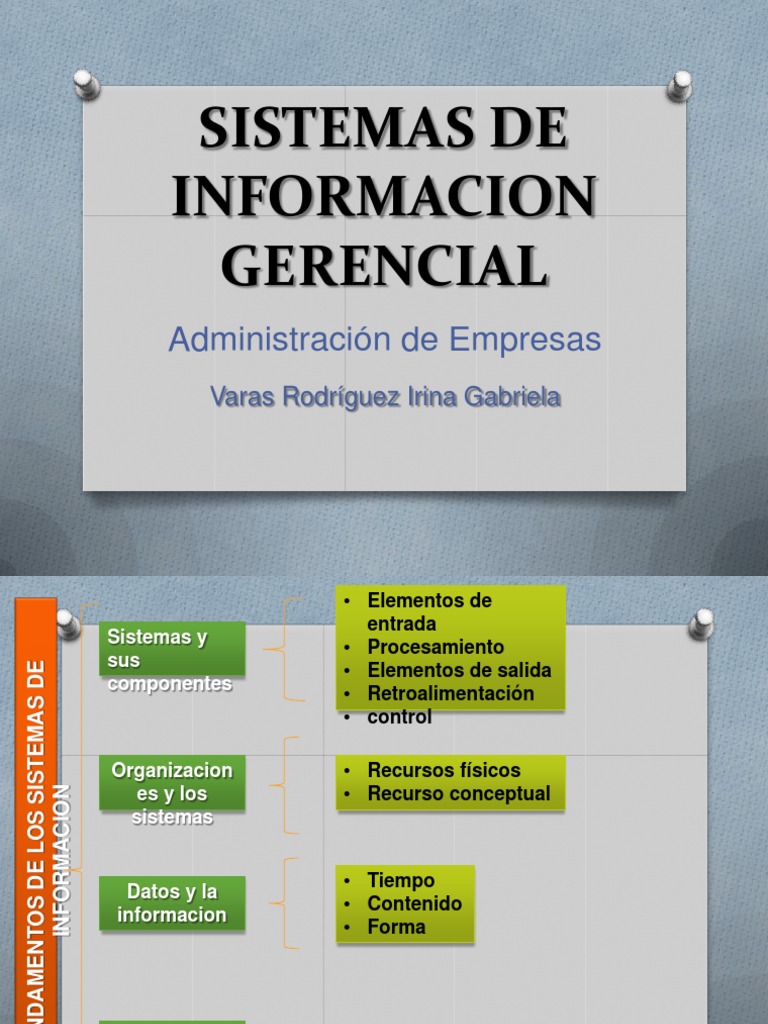 Sistemas de Informacion Gerencial | PDF