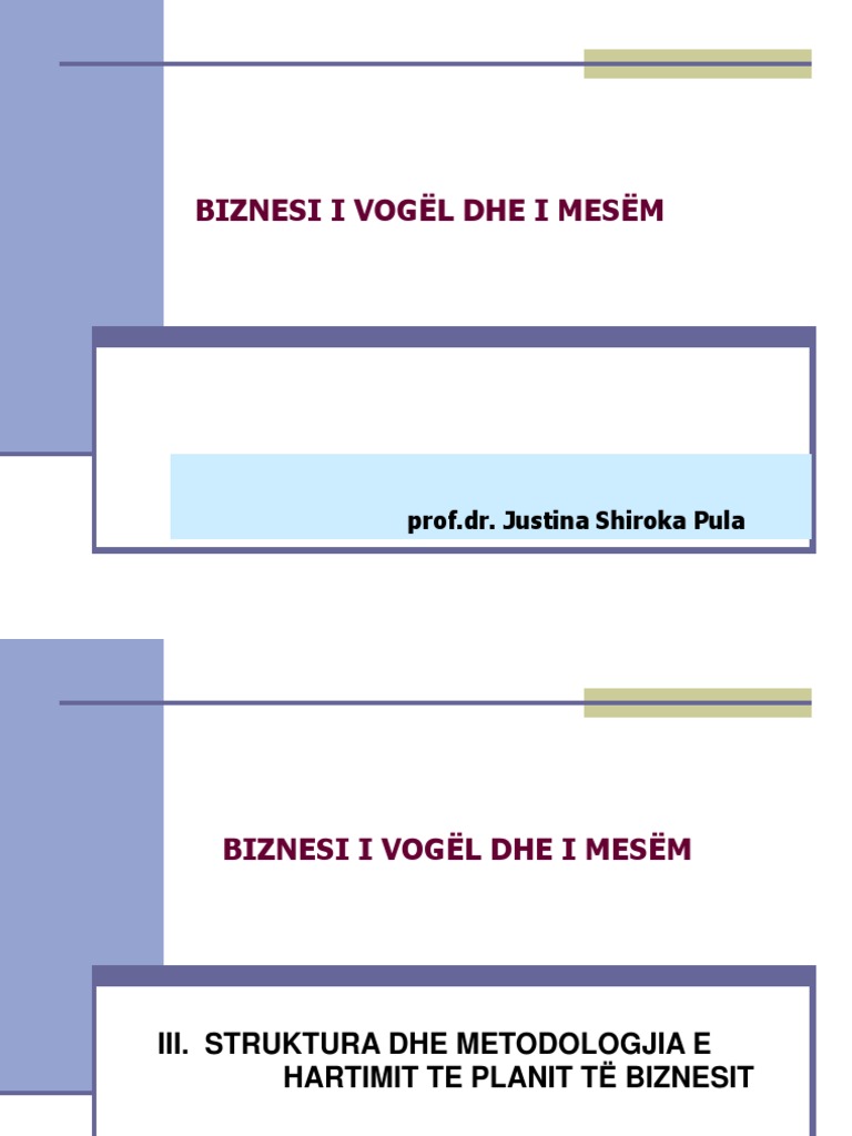NVM-Plani I Biznesit 7.0 Struktura e Planit Te Biznesit | PDF