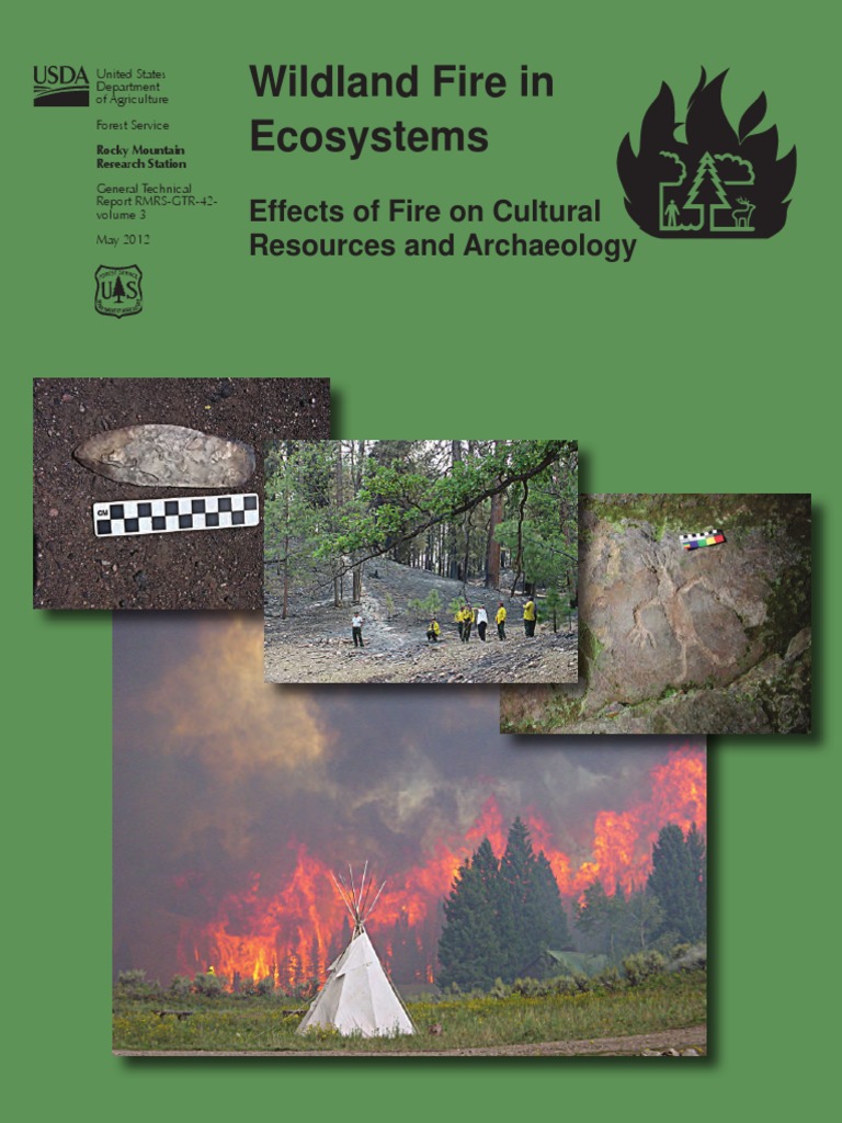 Effects of Fire On Cultural Resources and Archeology | PDF | Wildfire ...