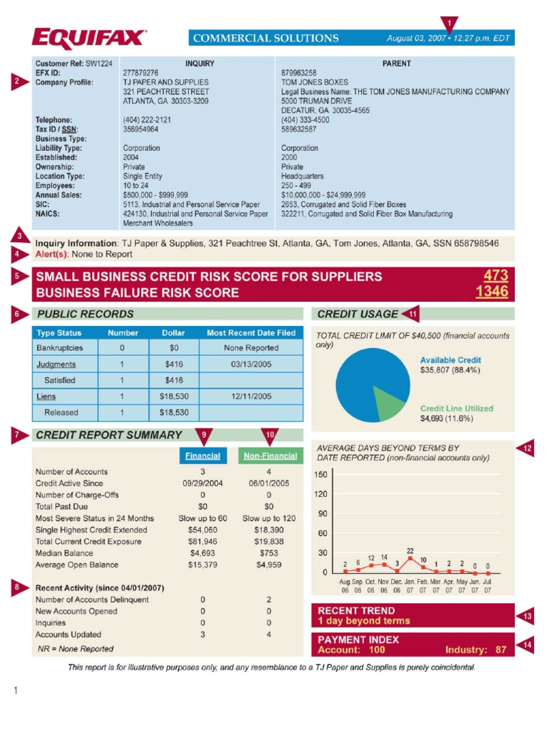 Sample Business Credit Report | PDF | Credit History | Credit Card