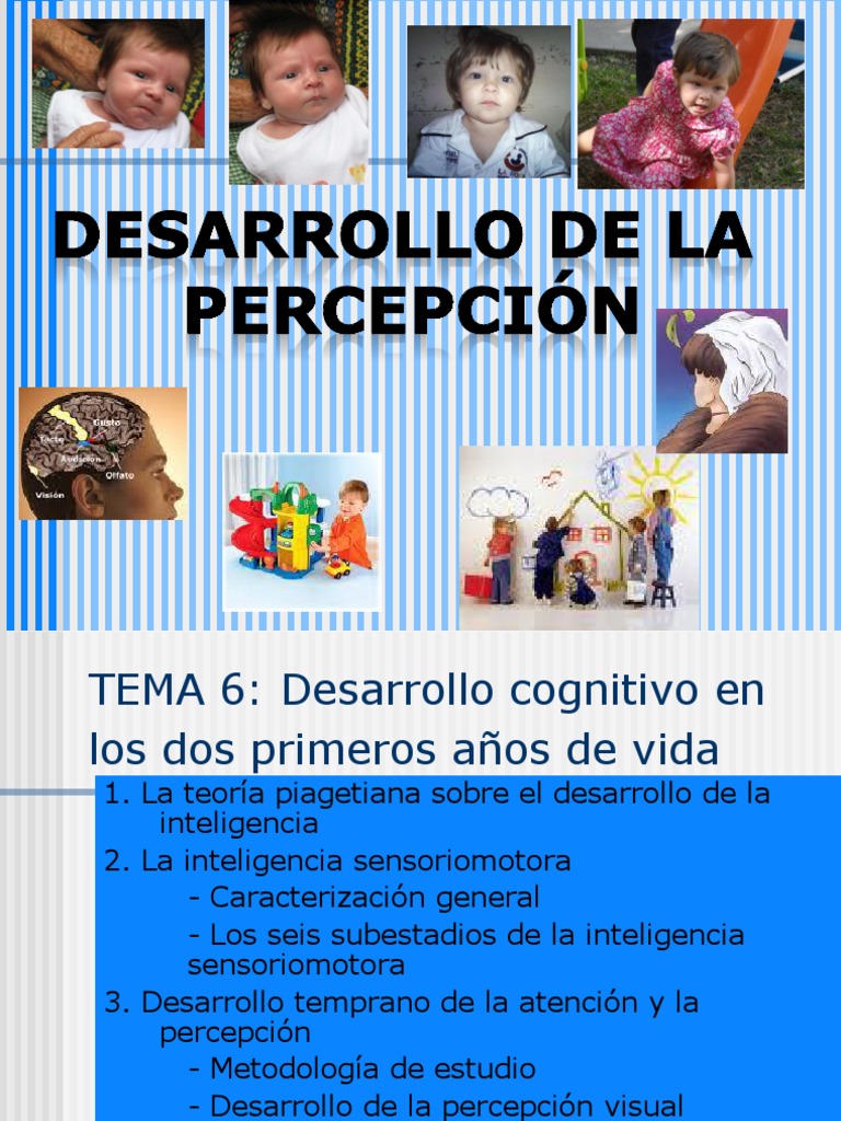 Desarrollo de La Percepción | Percepción visual | Percepción