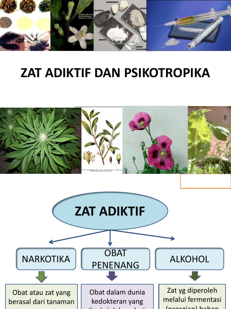 Zat Adiktif Dan Psikotropika | PDF