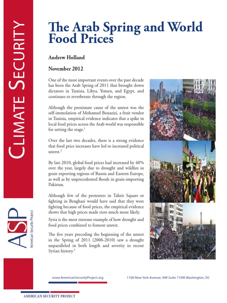 The Arab Spring and World Food Prices | PDF | Arab Spring | Syria
