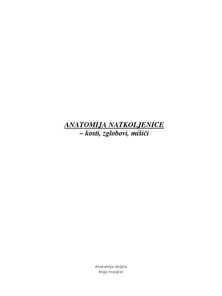 Anatomija Natkoljenice | PDF