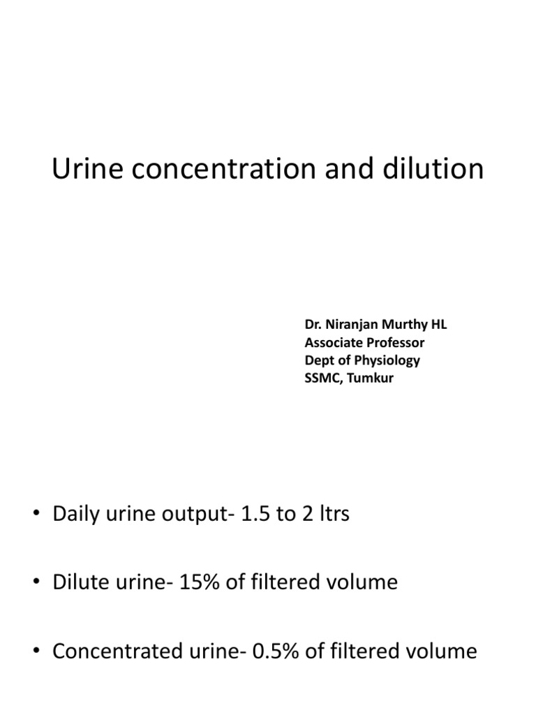 Urine Concentration and Diluting Mechanisms | PDF | Kidney | Organ ...