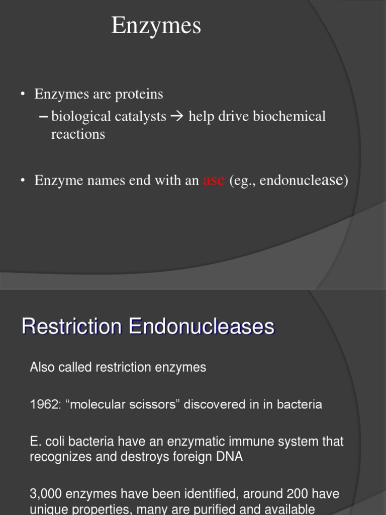 Understanding Restriction Enzymes | PDF | Restriction Enzyme | Dna
