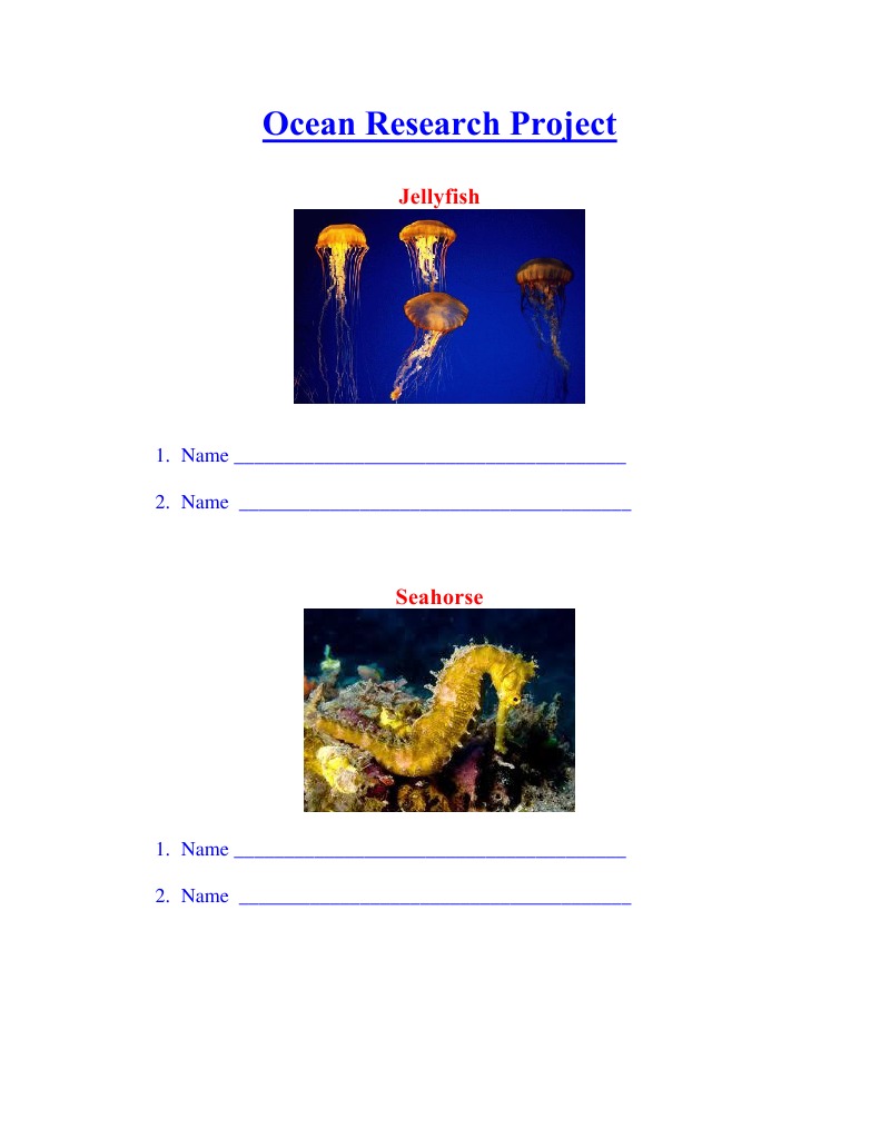 Ocean Animals | PDF