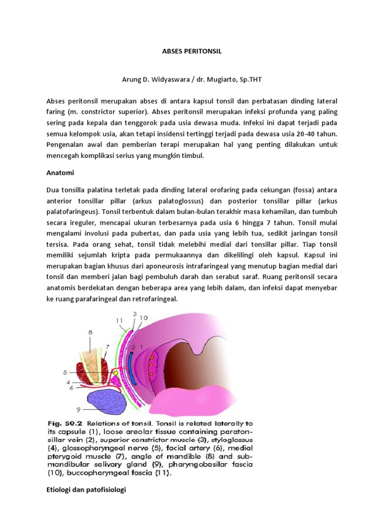 Penanganan Abses Peritonsil pada Dewasa | PDF | Sains & Matematika