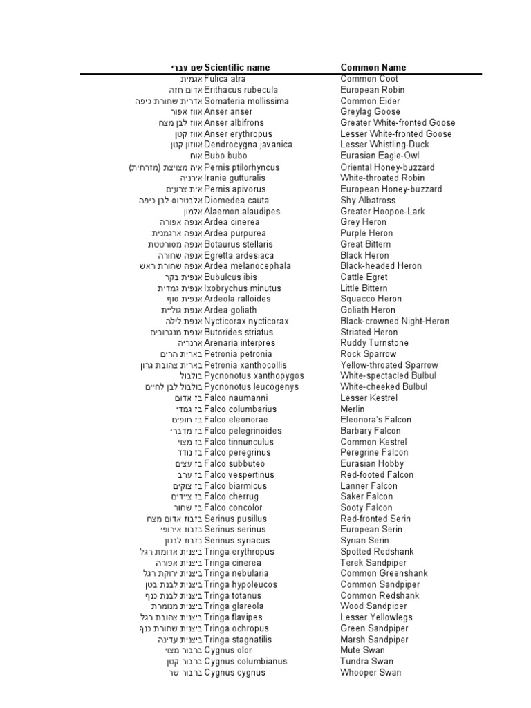 Israel Birds Checklist (With Hebrew) | PDF