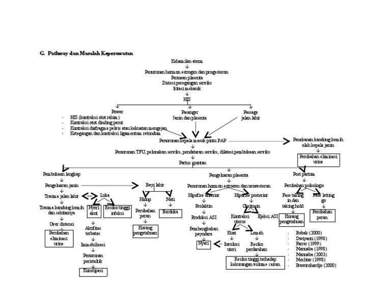 Pathway Partus Spontan | PDF