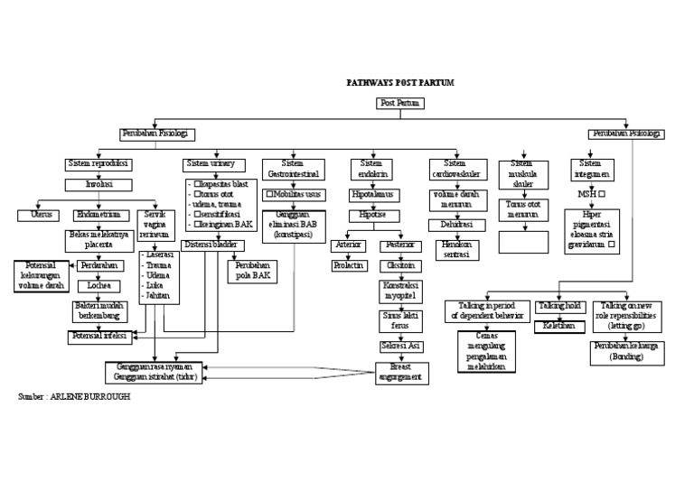 Pathway Postpartum Normal | PDF
