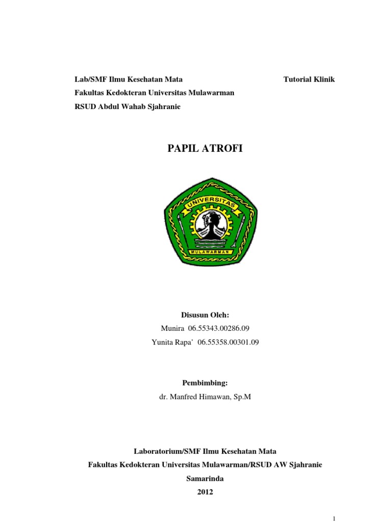 Papil Atrofi: Diagnosis dan Penatalaksanaan | PDF | Pengembangan Diri ...
