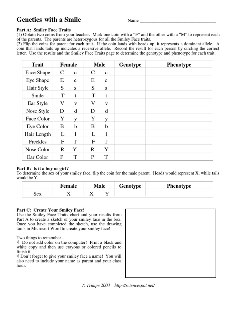 Smiley Face Genetics Activity Guide | PDF