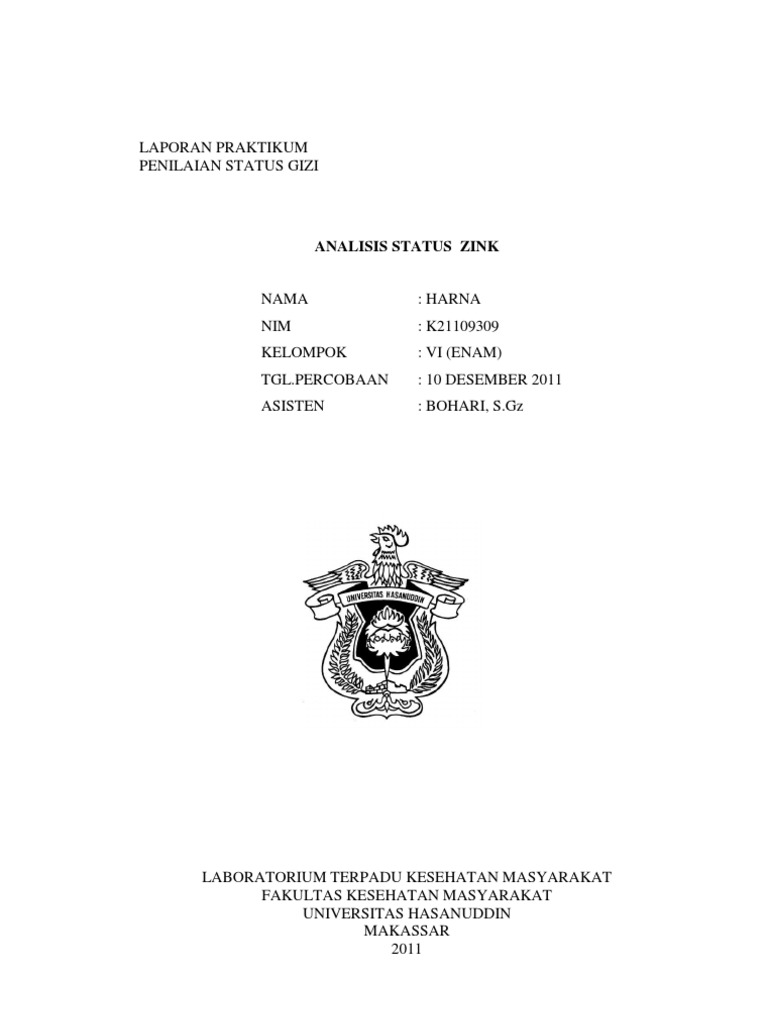 Laporan Zink | PDF