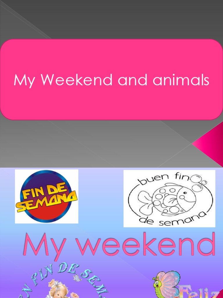 My Weekend and Animals | PDF