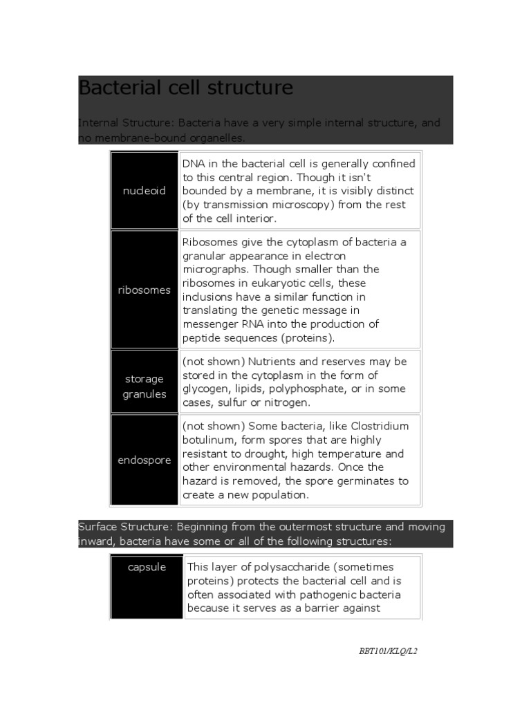 Bacterial Cell Structure | PDF | Bacteria | Cell (Biology)